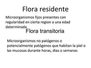 Flora microbiana | PPT