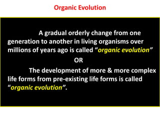 EVOLUTION PU II Year NCERT | PPTX