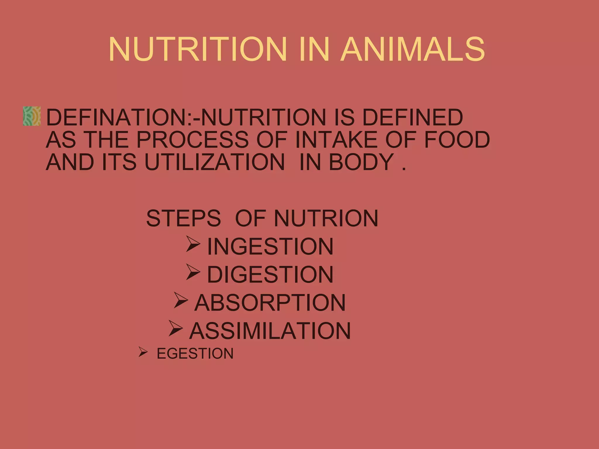 nutrition in animal | PPT