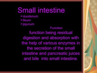 nutrition in animal | PPT