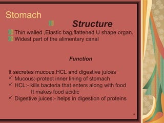 nutrition in animal | PPT