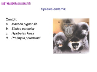 BIOLOGI - keanekaragaman hayati | PPT