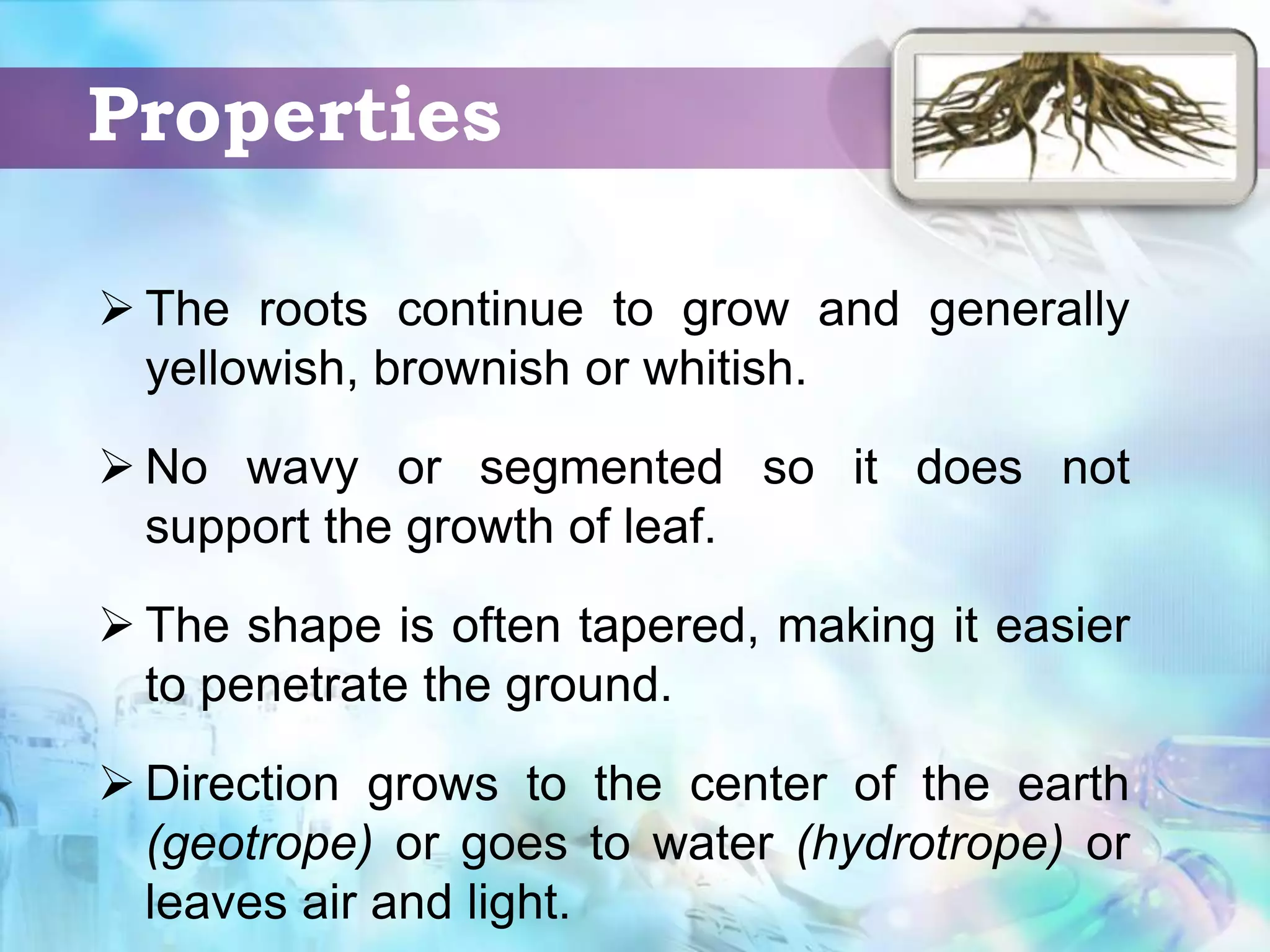 structure and development of Stem and Root | PPTX