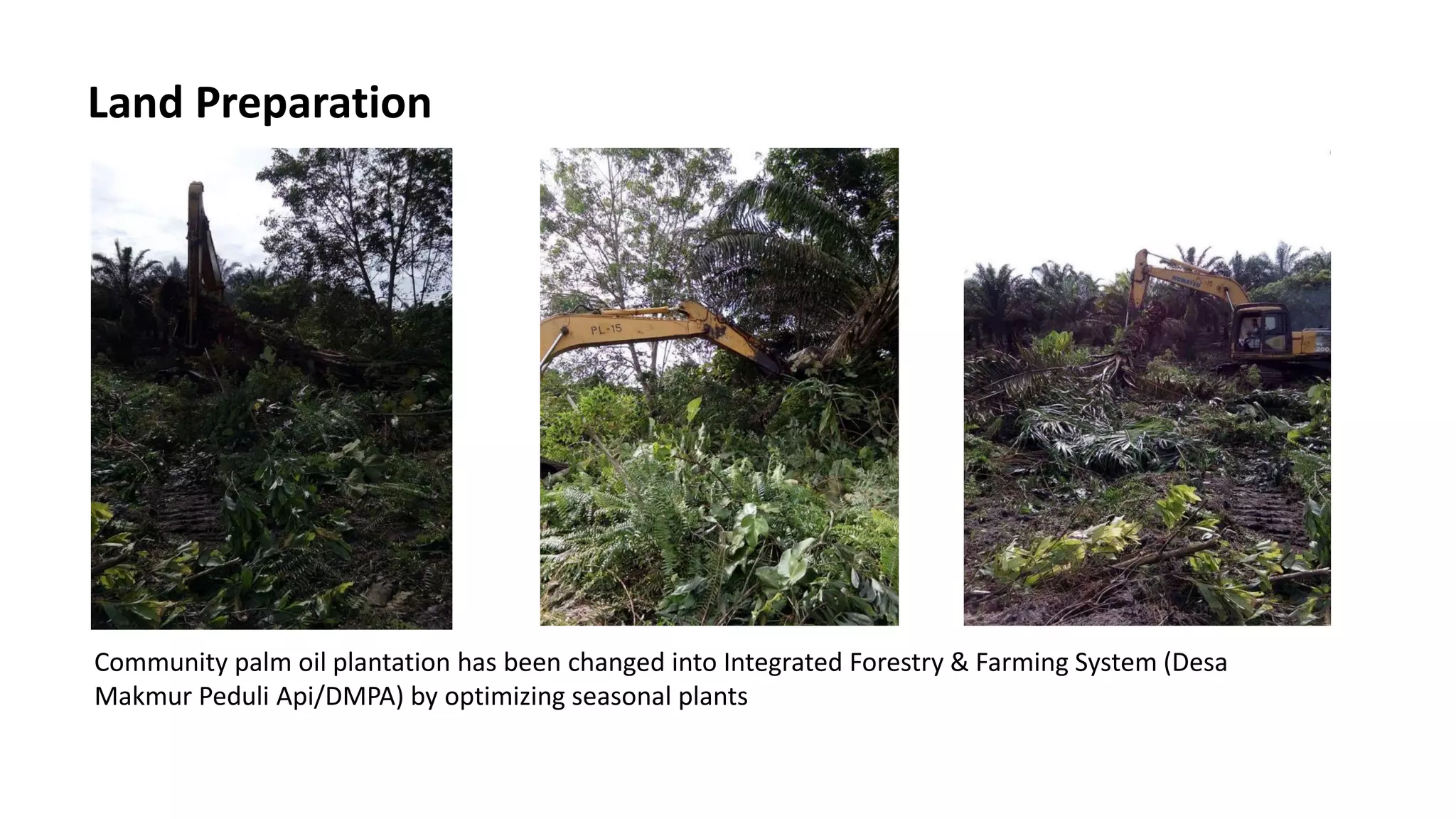 Integrated forestry and farming system / Desa Makmur Peduli Api (DMPA ...
