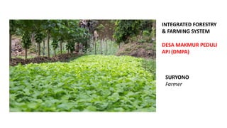 Integrated forestry and farming system / Desa Makmur Peduli Api (DMPA ...