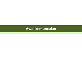 7. kesultanan cirebon | PDF
