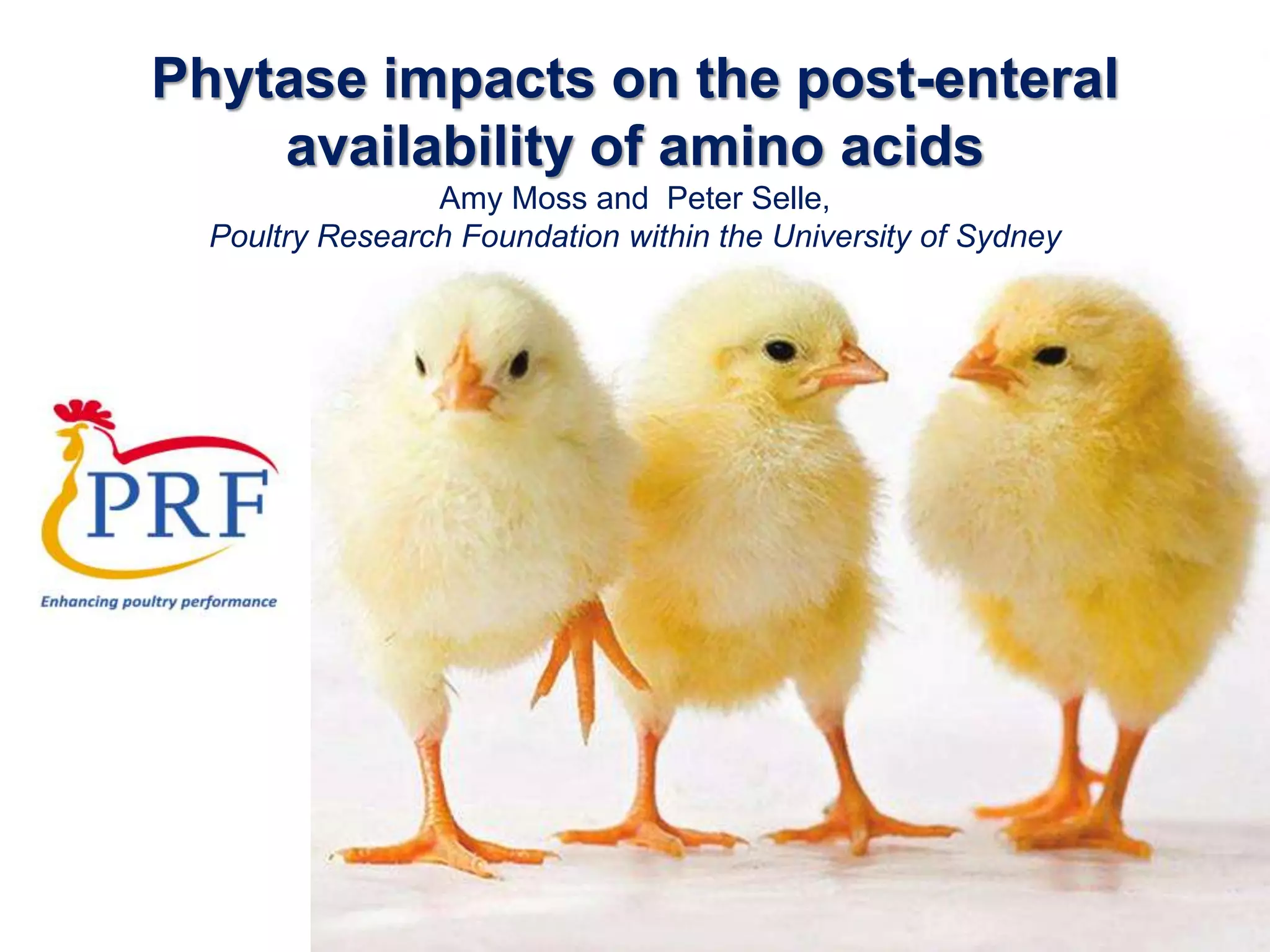 7. Friday Monogastric Sessions dr peter selle university of sydney - phytase changes the hepatic ...
