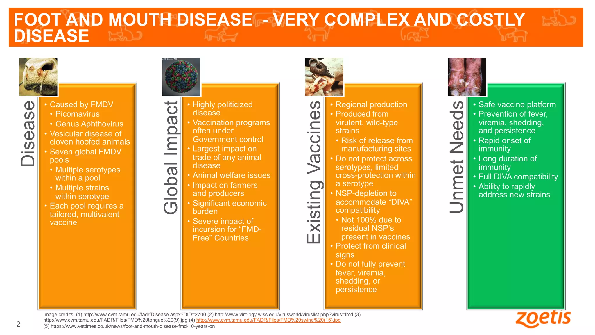 FMD-LL3B3D Vaccine Platform (M. Mourino) | PDF