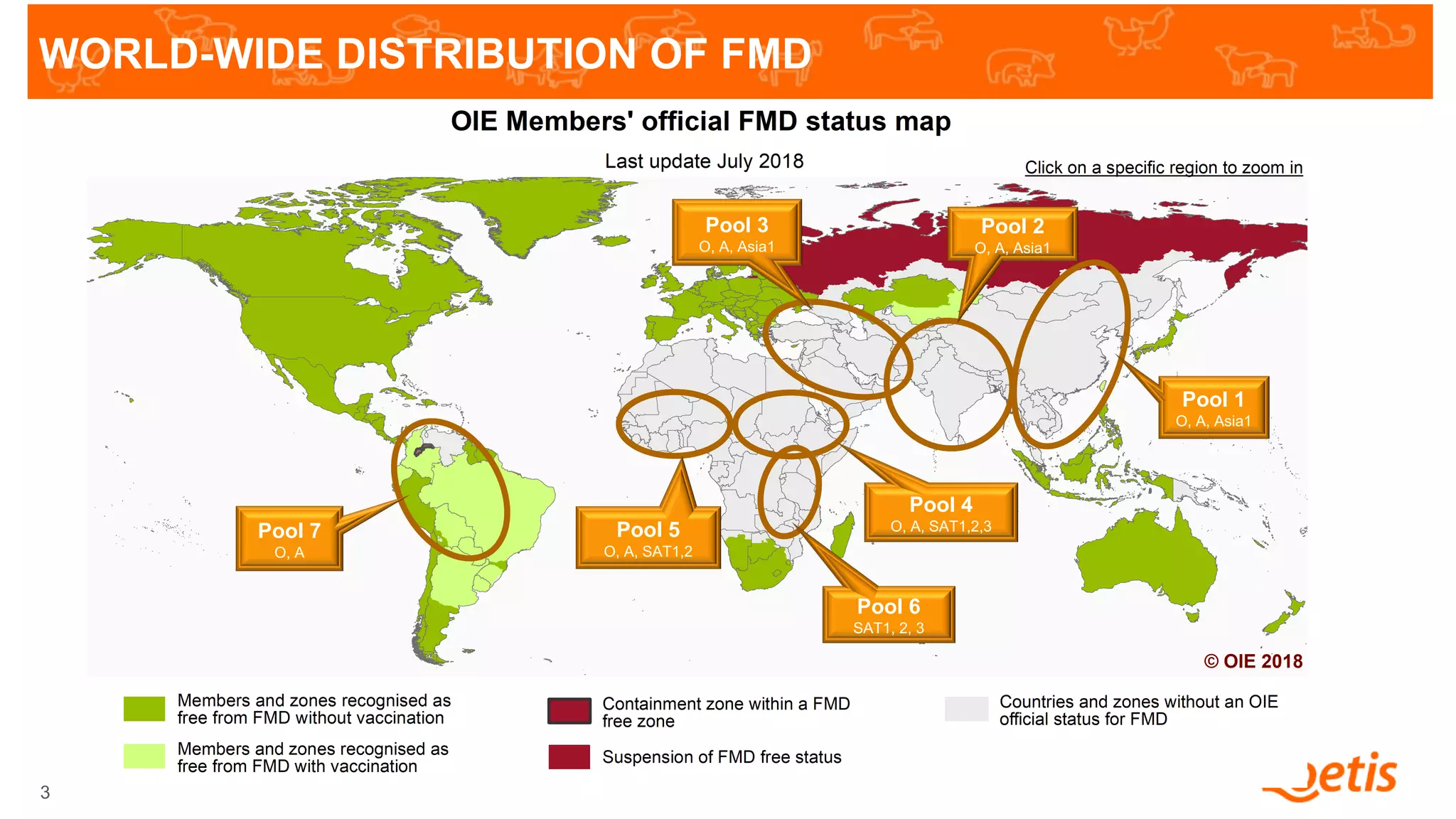 FMD-LL3B3D Vaccine Platform (M. Mourino) | PPT