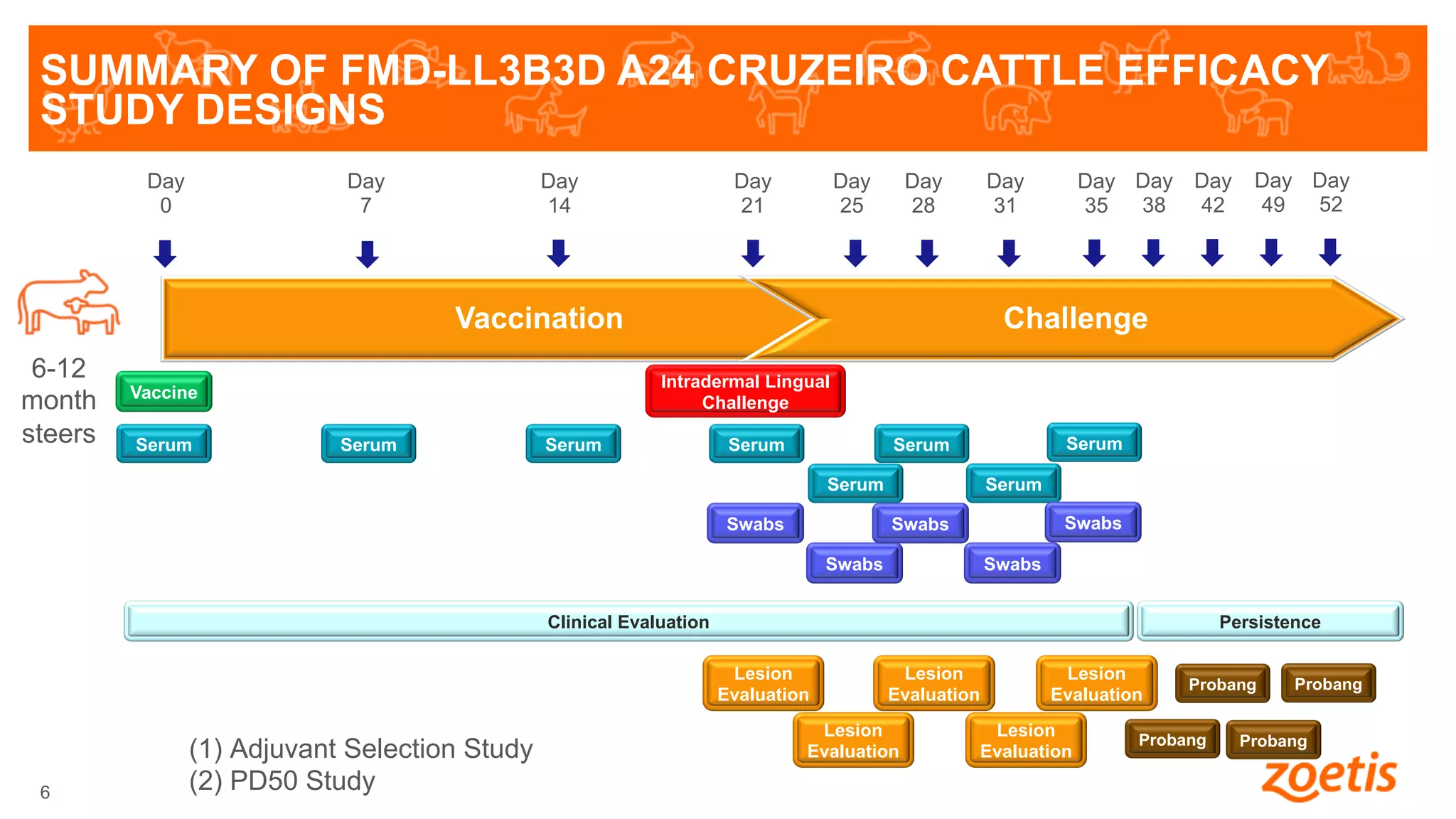 FMD-LL3B3D Vaccine Platform (M. Mourino) | PDF