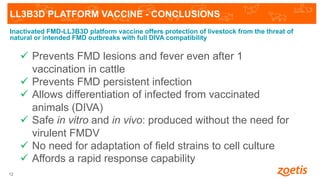 FMD-LL3B3D Vaccine Platform (M. Mourino) | PPT