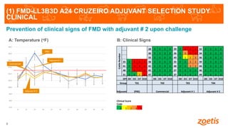 FMD-LL3B3D Vaccine Platform (M. Mourino) | PDF