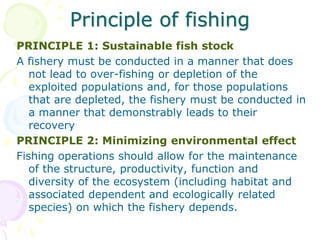 Fishing theory,Principle of Fishing | PPTX