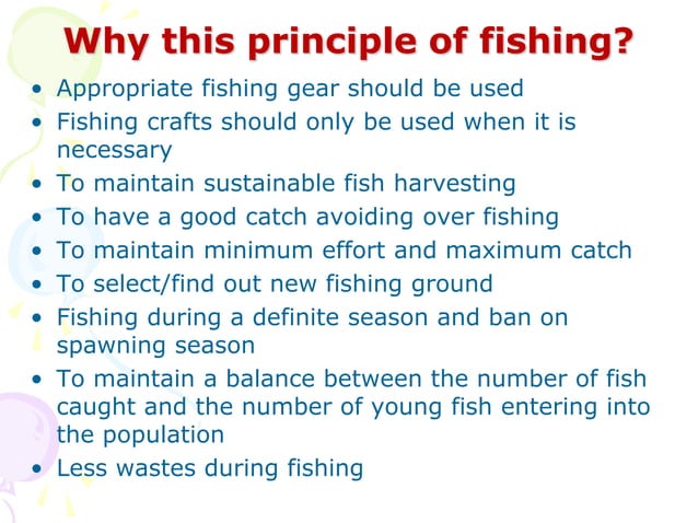 Fishing theory,Principle of Fishing | PPTX | Zoos & Aquariums | Attractions