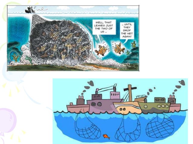 Fishing theory,Principle of Fishing | PPTX | Zoos & Aquariums | Attractions