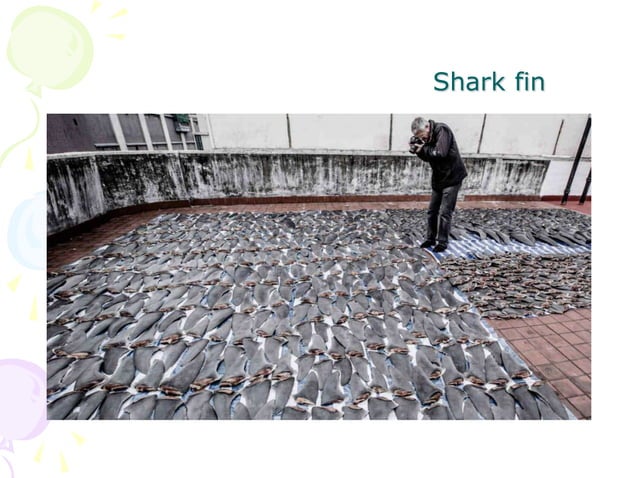 Fishing theory,Principle of Fishing | PPTX | Zoos & Aquariums | Attractions