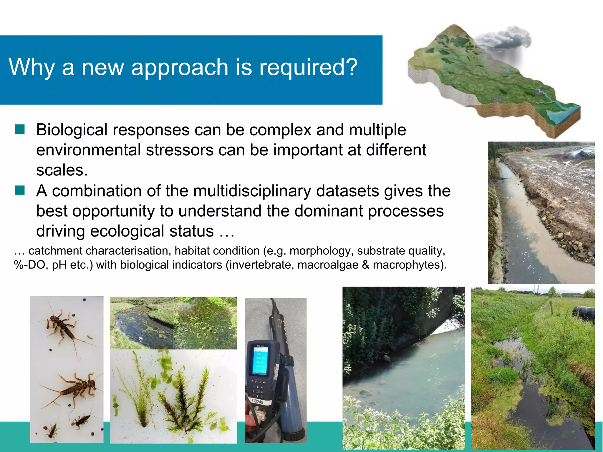 7. Rapid Assessment and Small Stream Impact Score - Bryan Kennedy, EPA ...