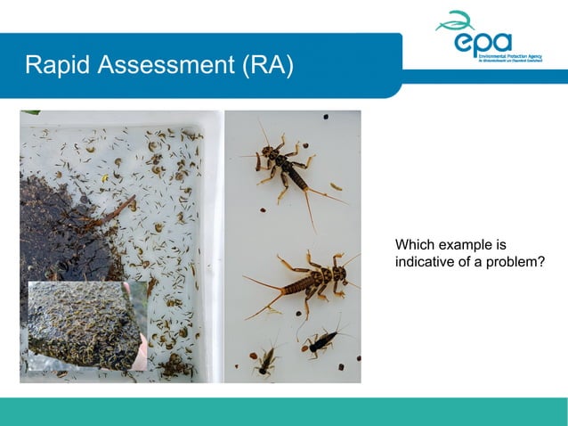 7. Rapid Assessment and Small Stream Impact Score - Bryan Kennedy, EPA ...