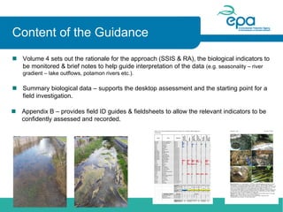 7. Rapid Assessment and Small Stream Impact Score - Bryan Kennedy, EPA ...