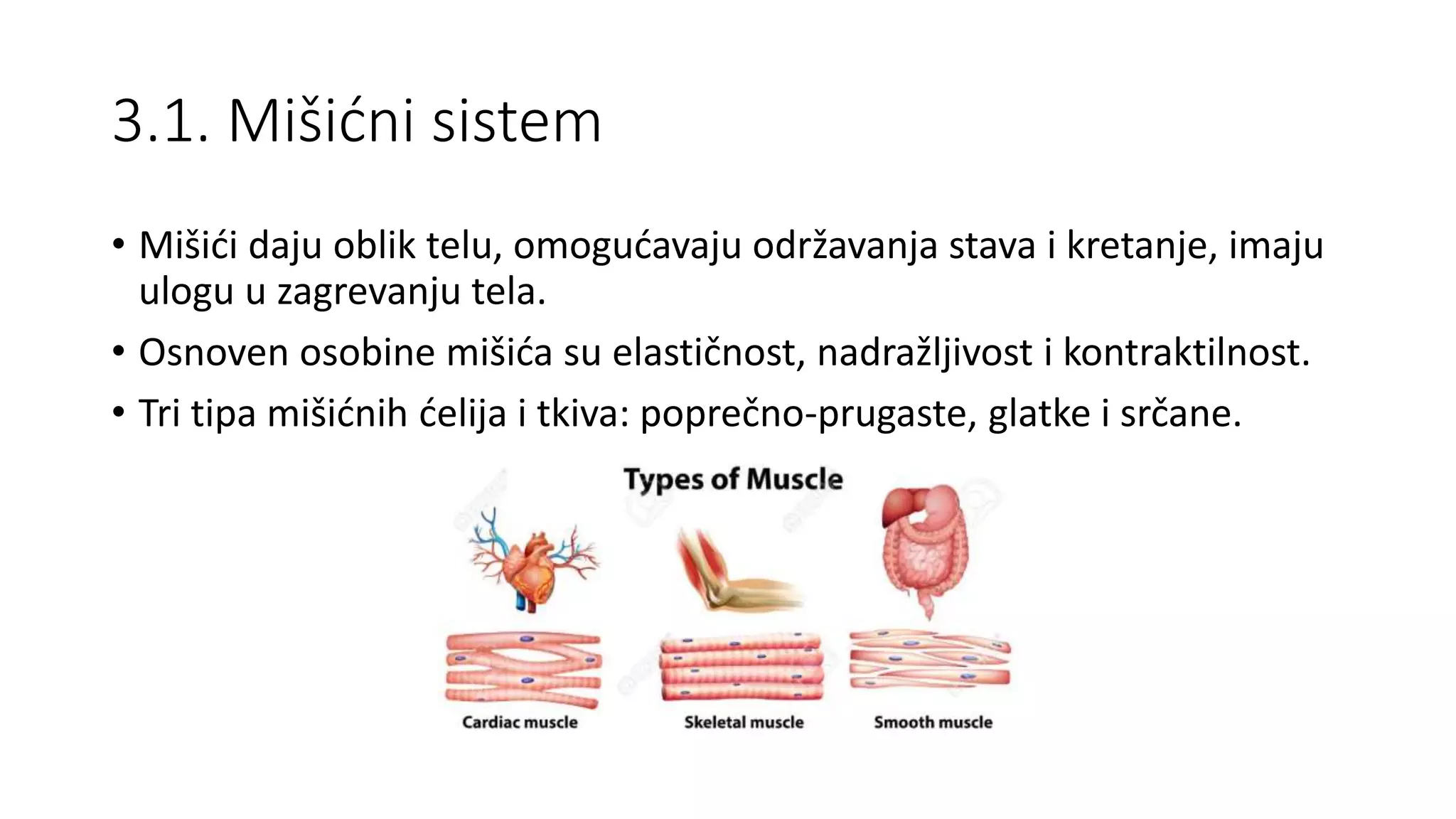 7. razred, matura | PPTX