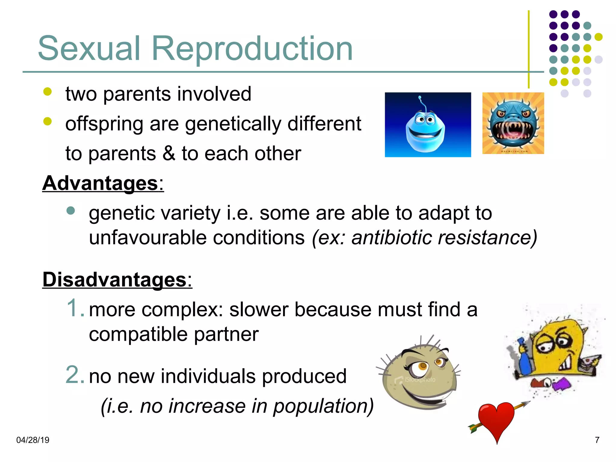 4.4 Bacteria Reproduction Presentation | PPT