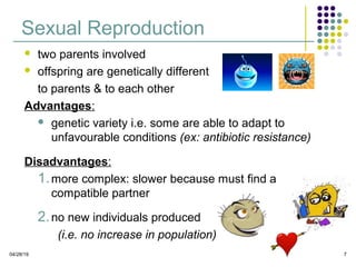 4.4 Bacteria Reproduction Presentation | PPT