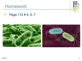 4.4 Bacteria Reproduction Presentation | PPT