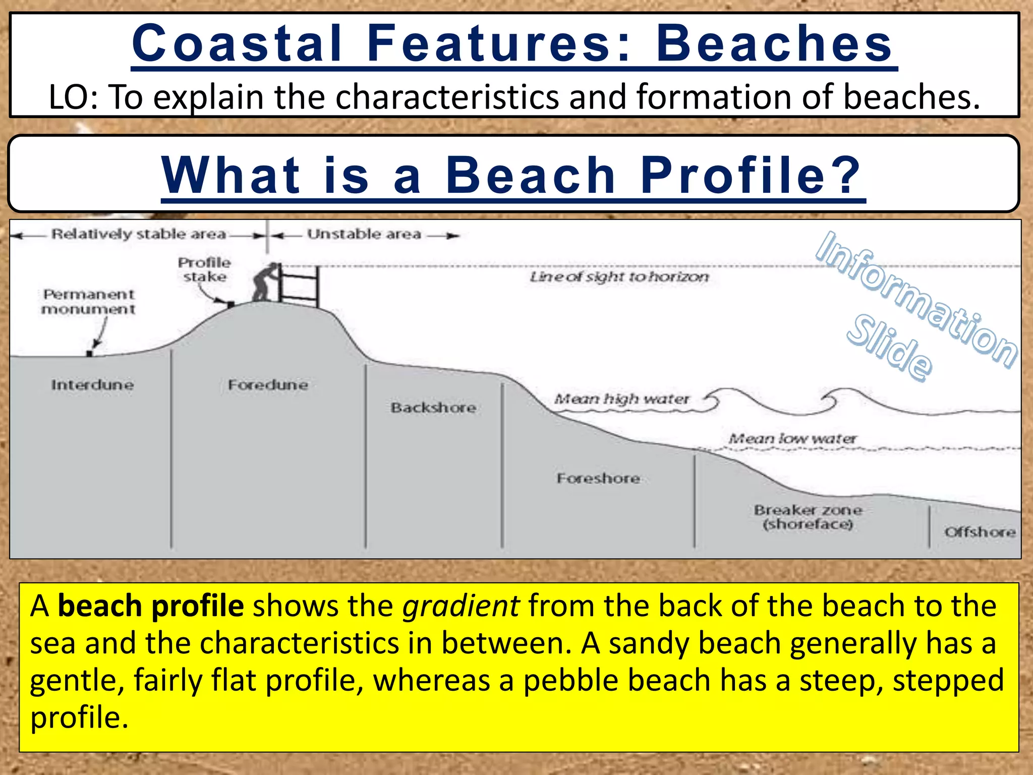 7. Beaches and sand dunes | PPTX