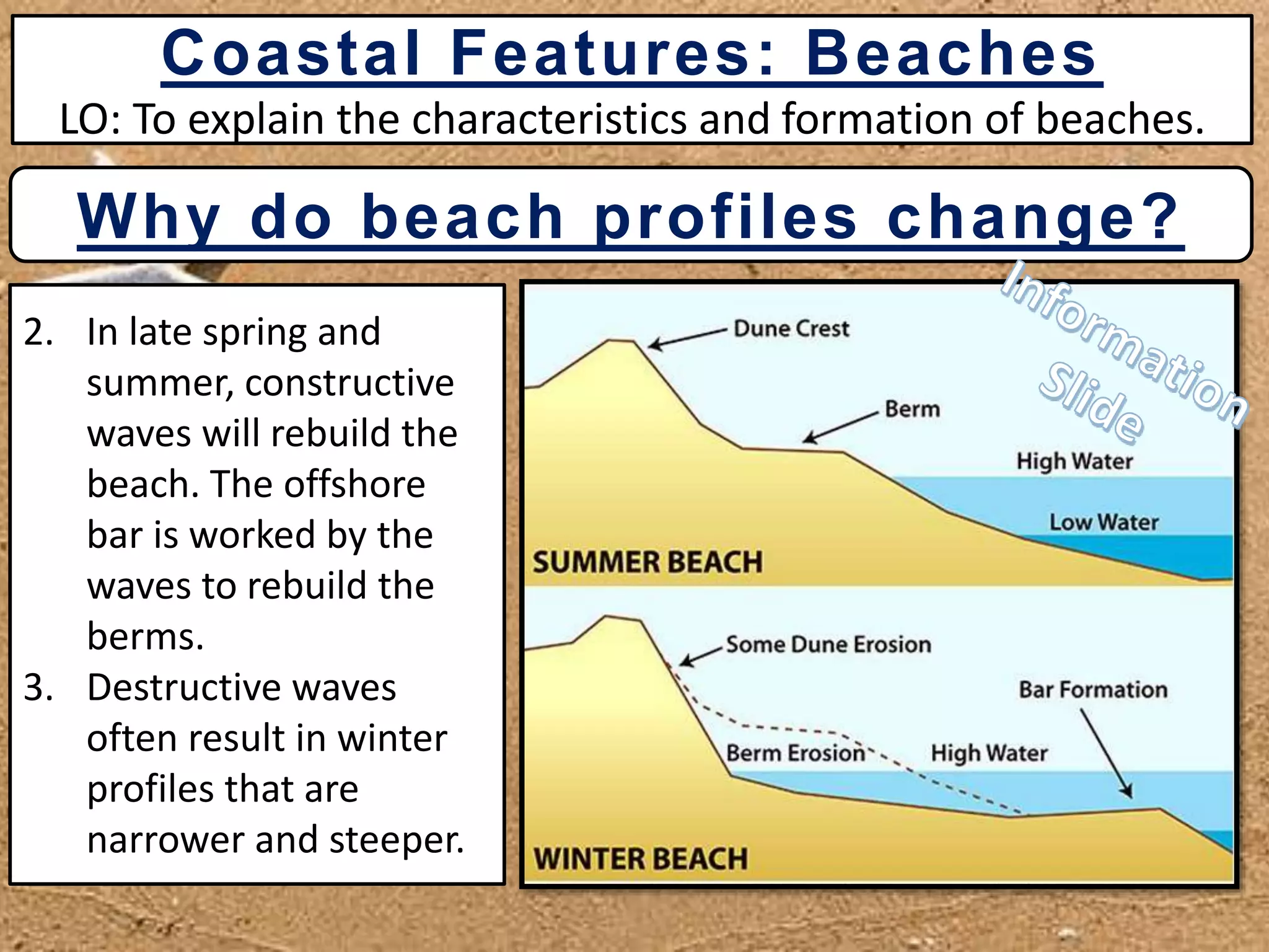 7. Beaches and sand dunes | PPTX