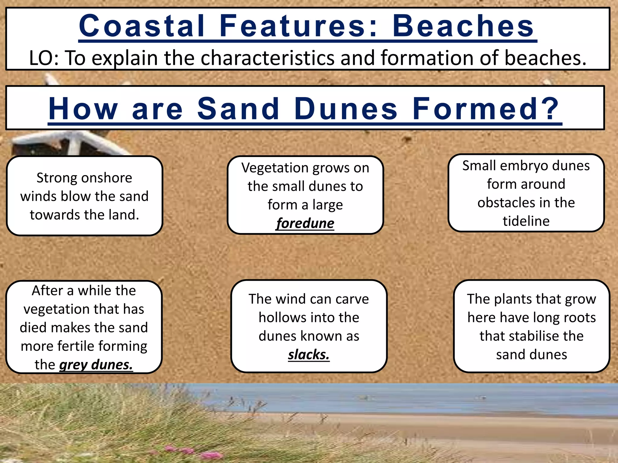 7. Beaches and sand dunes | PPTX