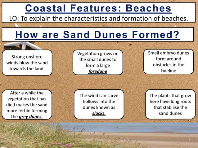 7. Beaches and sand dunes | PPTX