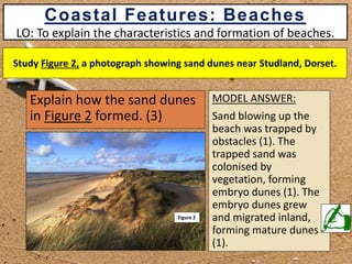 7. Beaches and sand dunes | PPTX