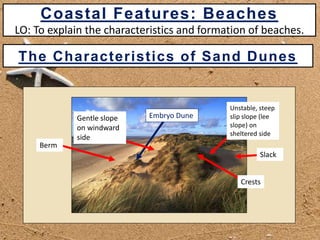 7. Beaches and sand dunes | PPTX
