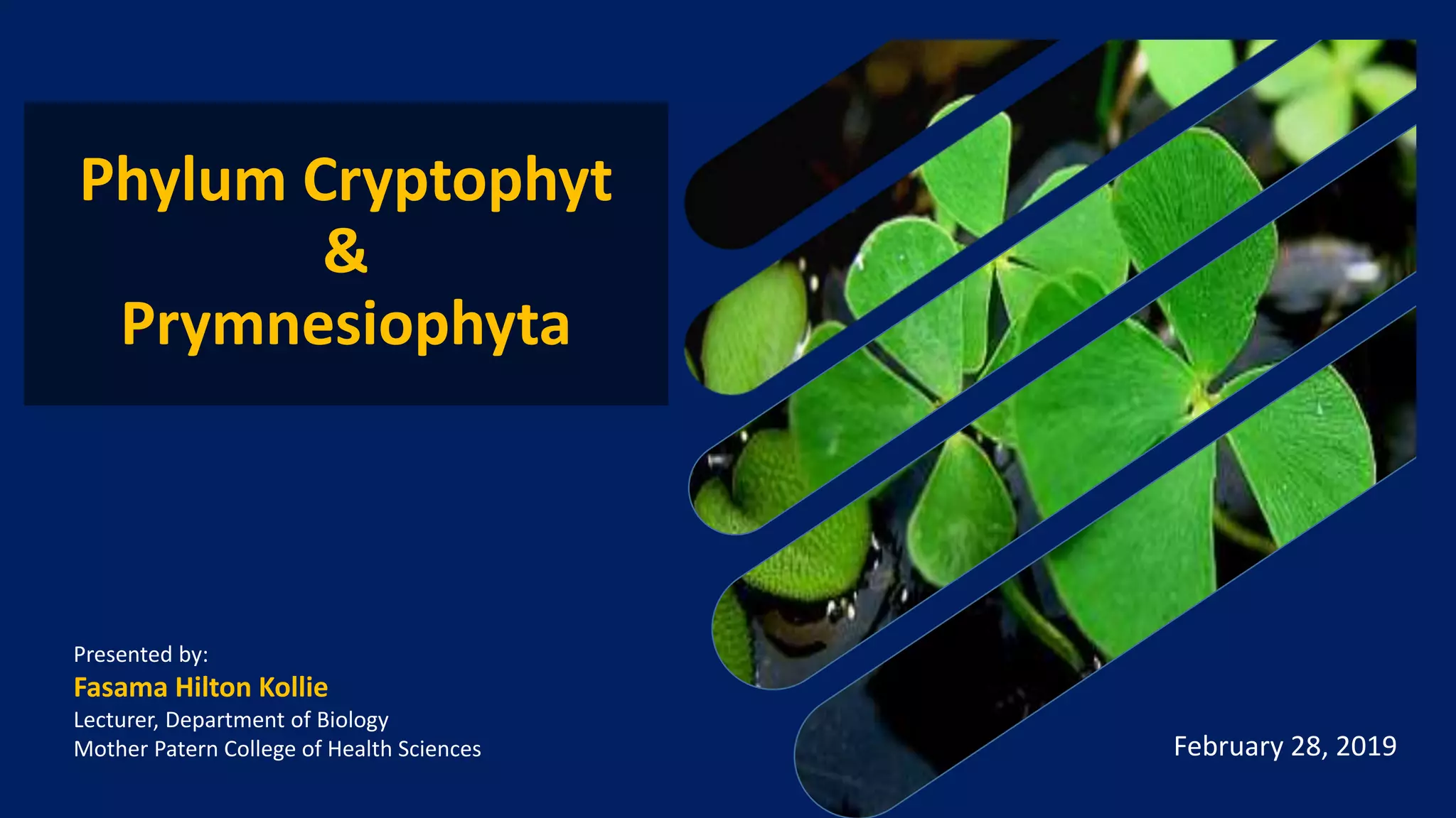 Phylum Cryptophyta & Prymnesiophyta | PPTX