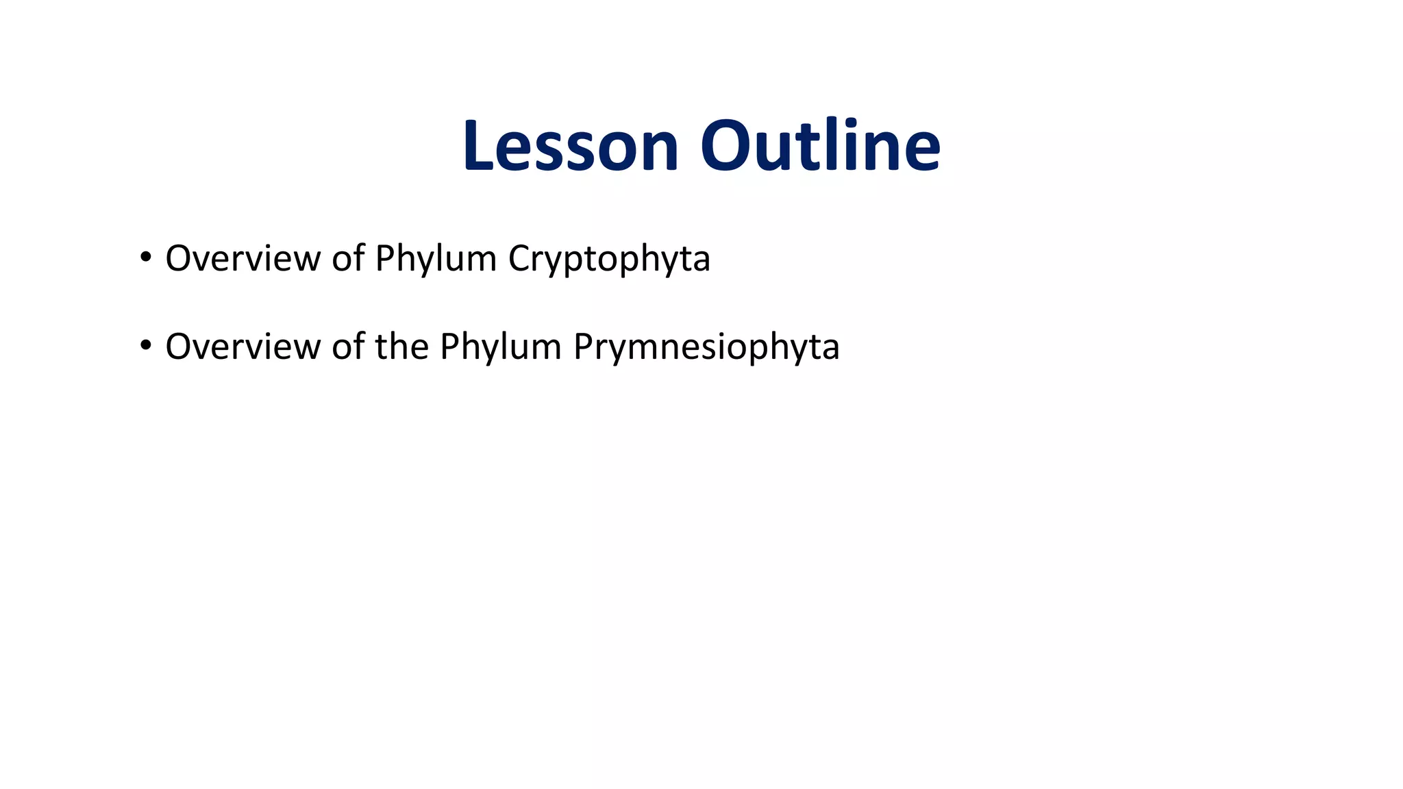 Phylum Cryptophyta & Prymnesiophyta | PPTX