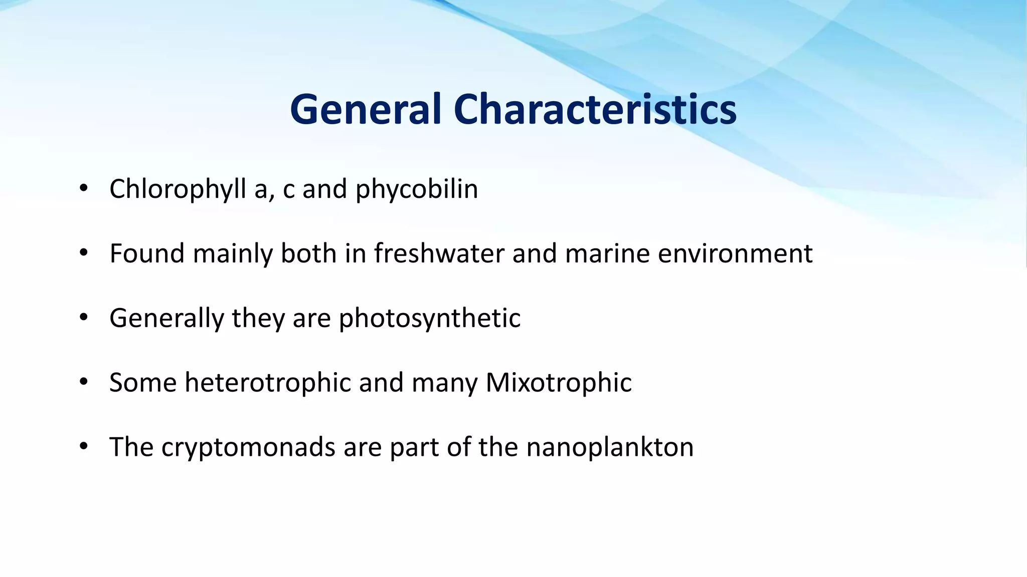 Phylum Cryptophyta & Prymnesiophyta | PPTX | Geography | Science