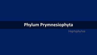 Phylum Cryptophyta & Prymnesiophyta | PPTX