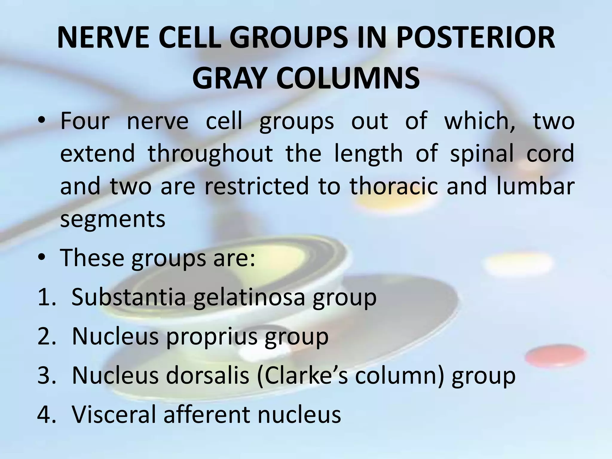 Spinal cord & its tracts I (Ascending tracts) | PPTX