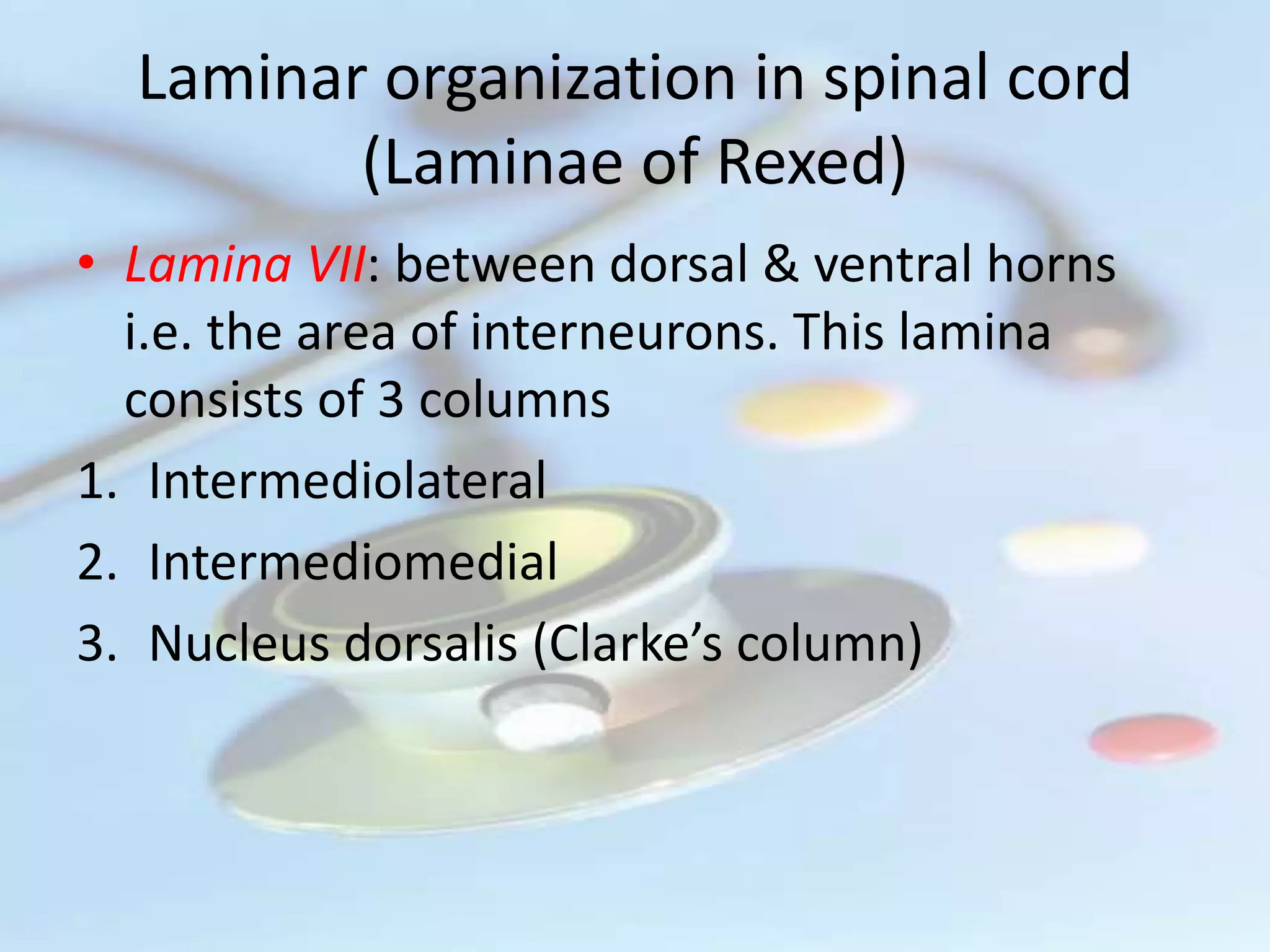 Spinal cord & its tracts I (Ascending tracts) | PPTX