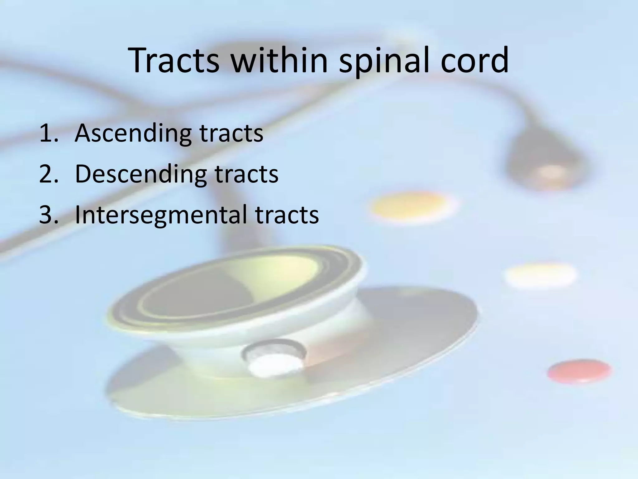 Spinal cord & its tracts I (Ascending tracts) | PPTX