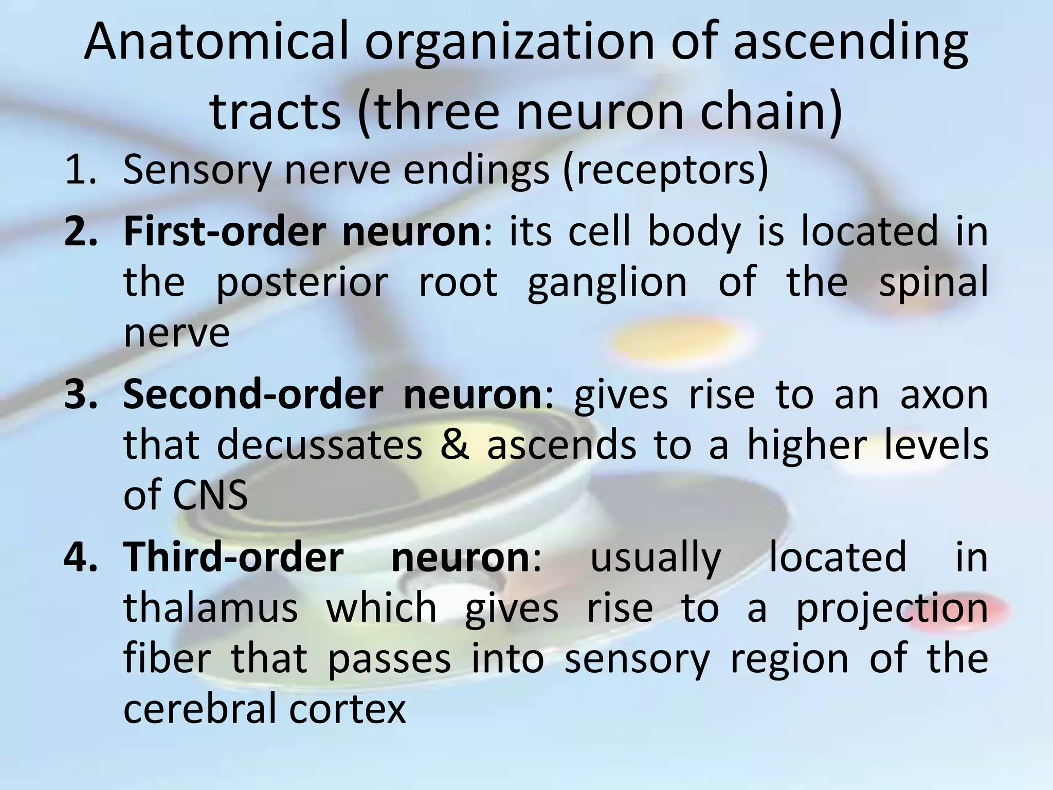Spinal cord & its tracts I (Ascending tracts) | PPTX