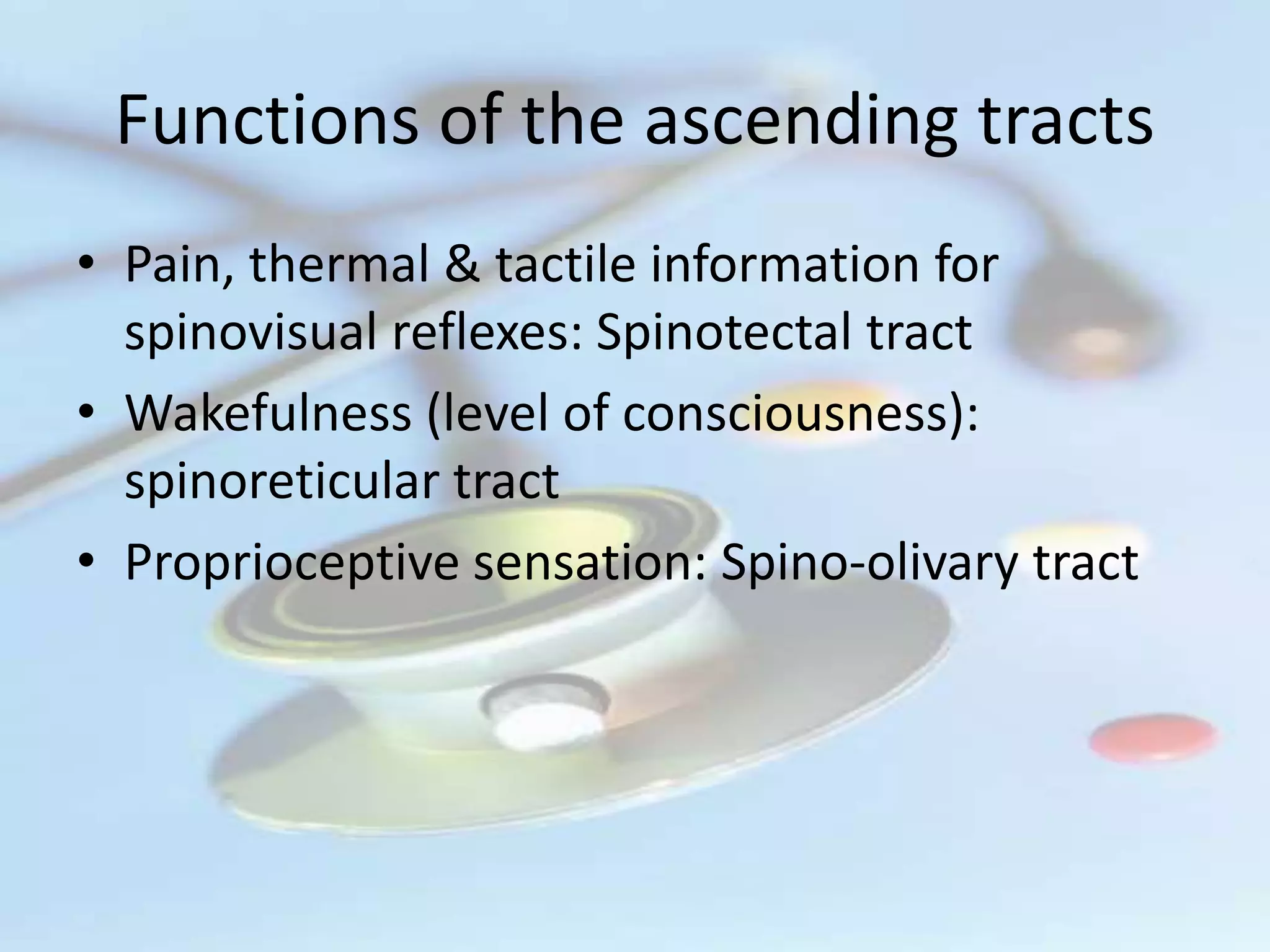 Spinal cord & its tracts I (Ascending tracts) | PPTX