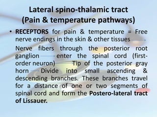 Spinal cord & its tracts I (Ascending tracts) | PPTX