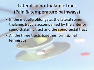 Spinal cord & its tracts I (Ascending tracts) | PPTX