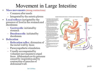 7. git lecture 7 | PPT