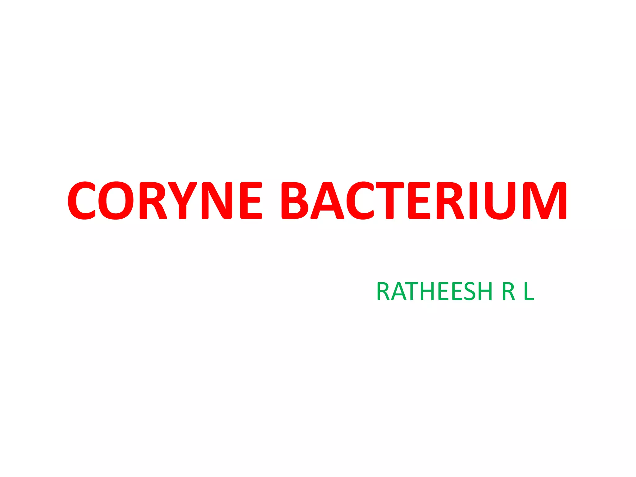 7. coryne bacterium | PPT