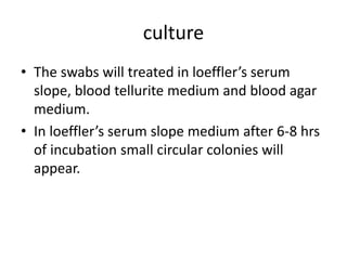 7. coryne bacterium | PPT