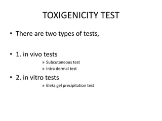 7. coryne bacterium | PPTX