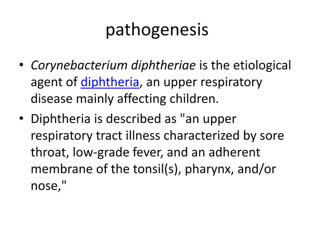 7. coryne bacterium | PPT