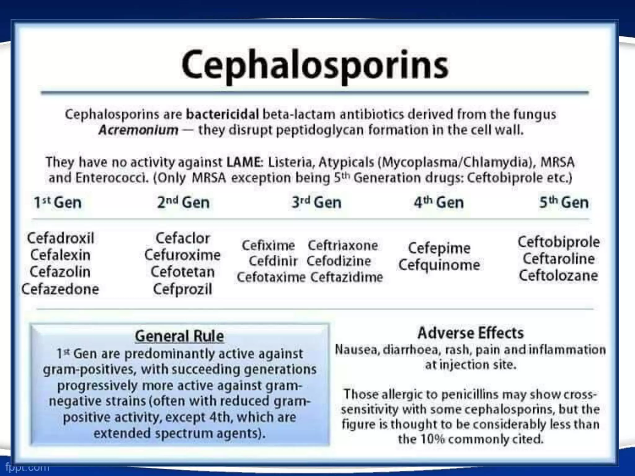 Cephalosporins | PPTX